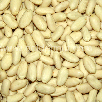 rizhao golden nut group